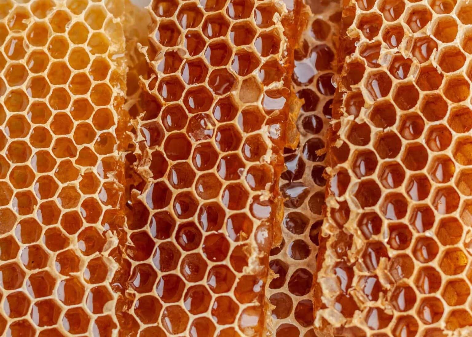 From Hive to Table - Hafiz Mustafa 1864